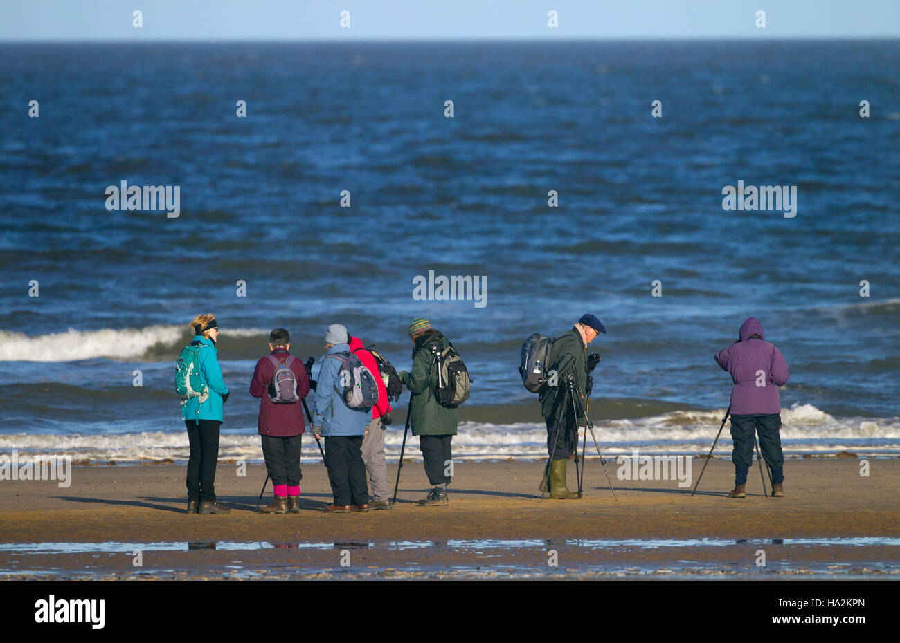 Birdwatchers at Titchwell Norfolk watching for sea birds Stock Photo ...