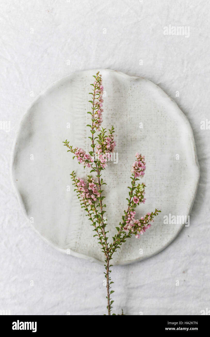 Heather sprig hi-res stock photography and images - Alamy
