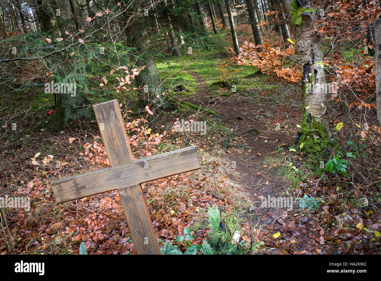 Forest burial hi-res stock photography and images - Alamy
