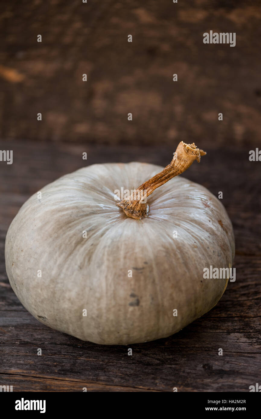 Queensland blue pumpkin Stock Photo - Alamy