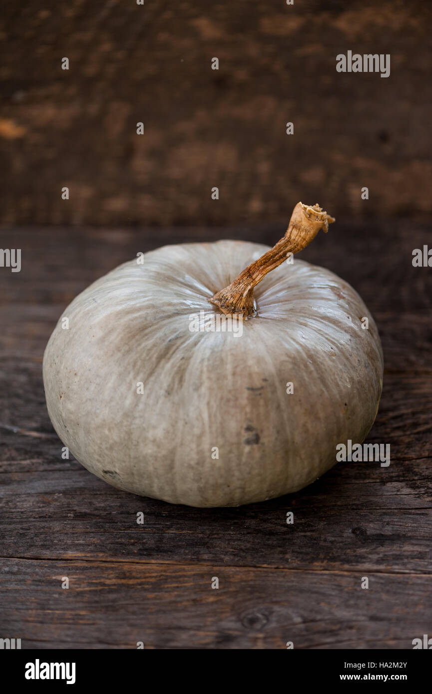 Queensland blue pumpkin Stock Photo - Alamy