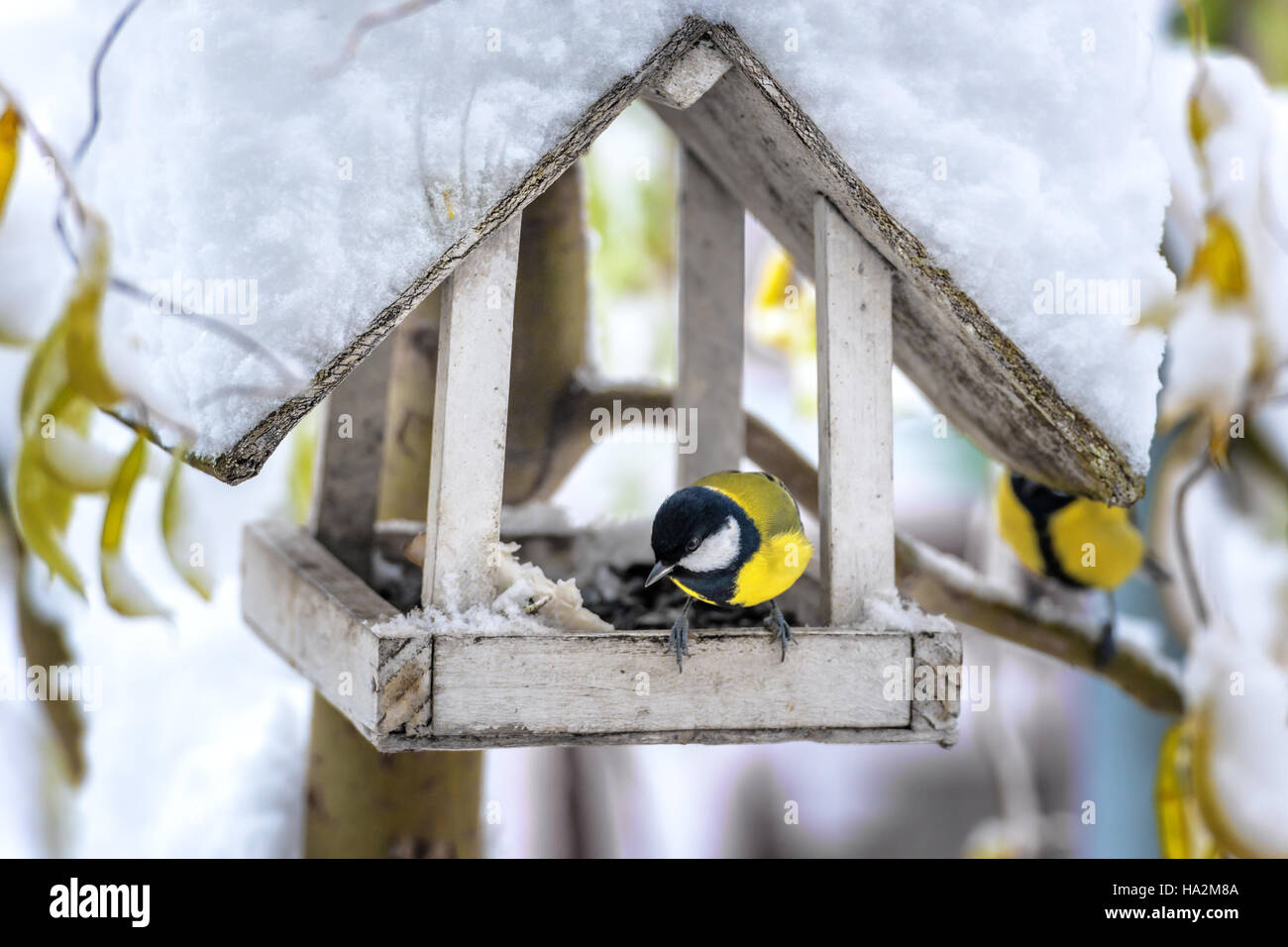 Bird feed box hi-res stock photography and images - Alamy