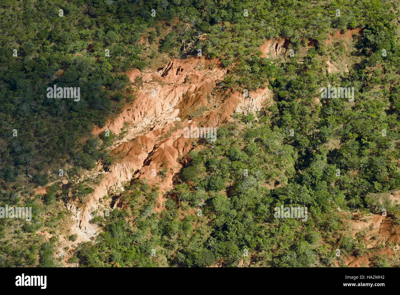 Deforestation aerial hi-res stock photography and images - Alamy