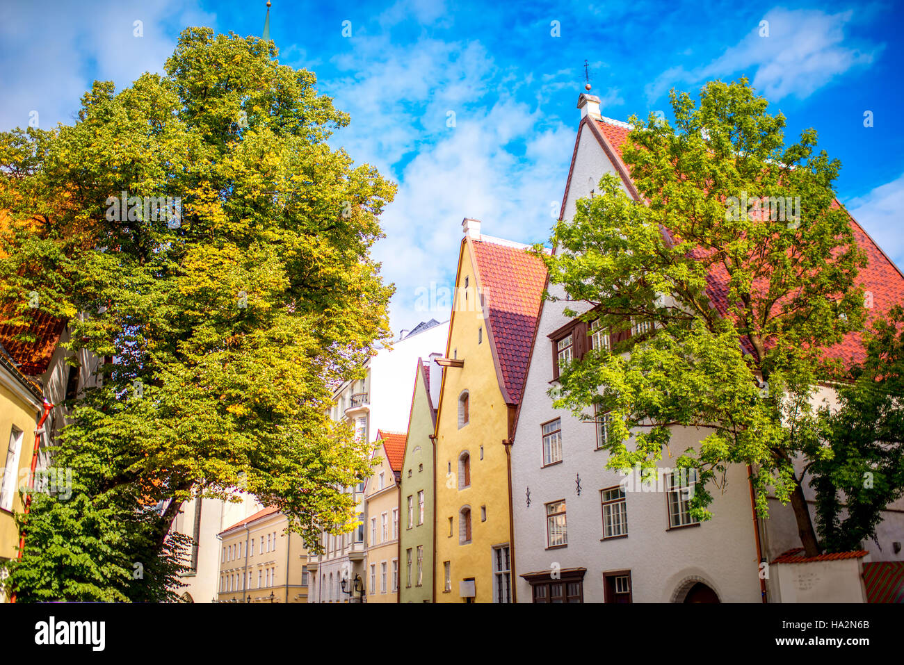 Ancient Architecture Baltic Buildings City Estonia House Houses Old ...
