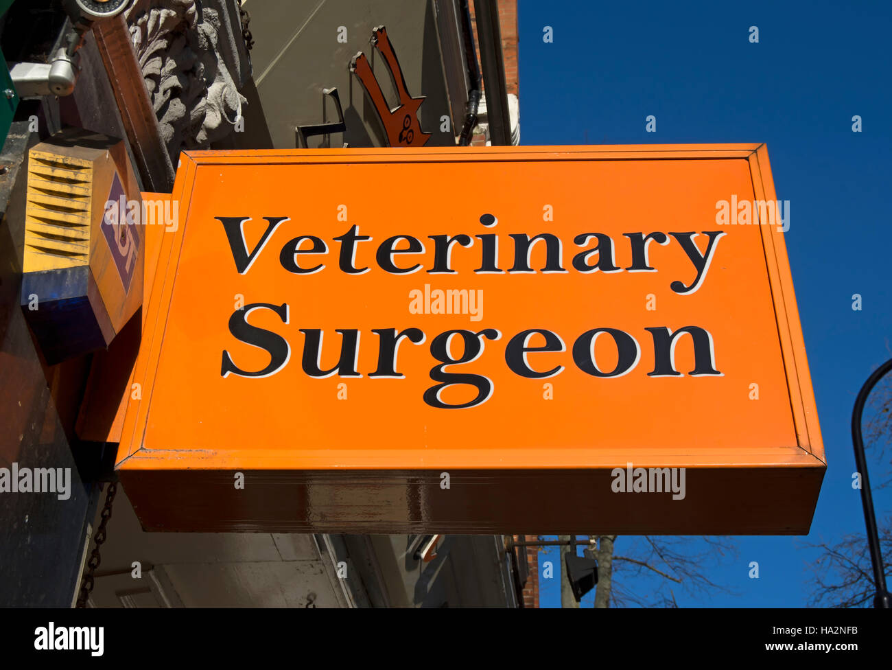 hanging sign for a veterinary surgeon, hampstead, london, england Stock ...