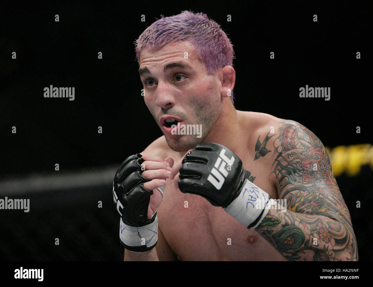 Kurt Pellegrino at UFC 74 during a mixed martial arts match at the ...