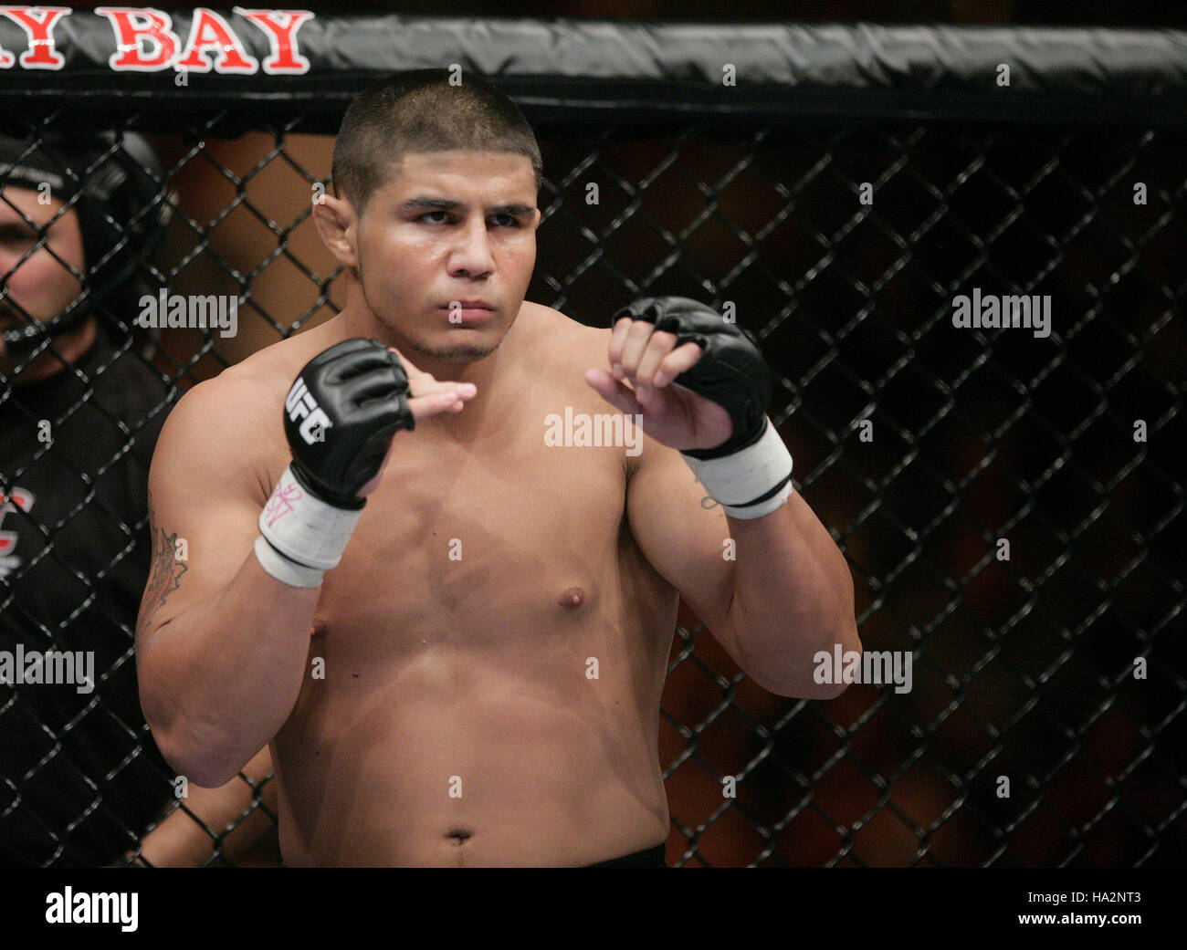 Joe Stevenson at UFC 74 during a mixed martial arts match at the ...