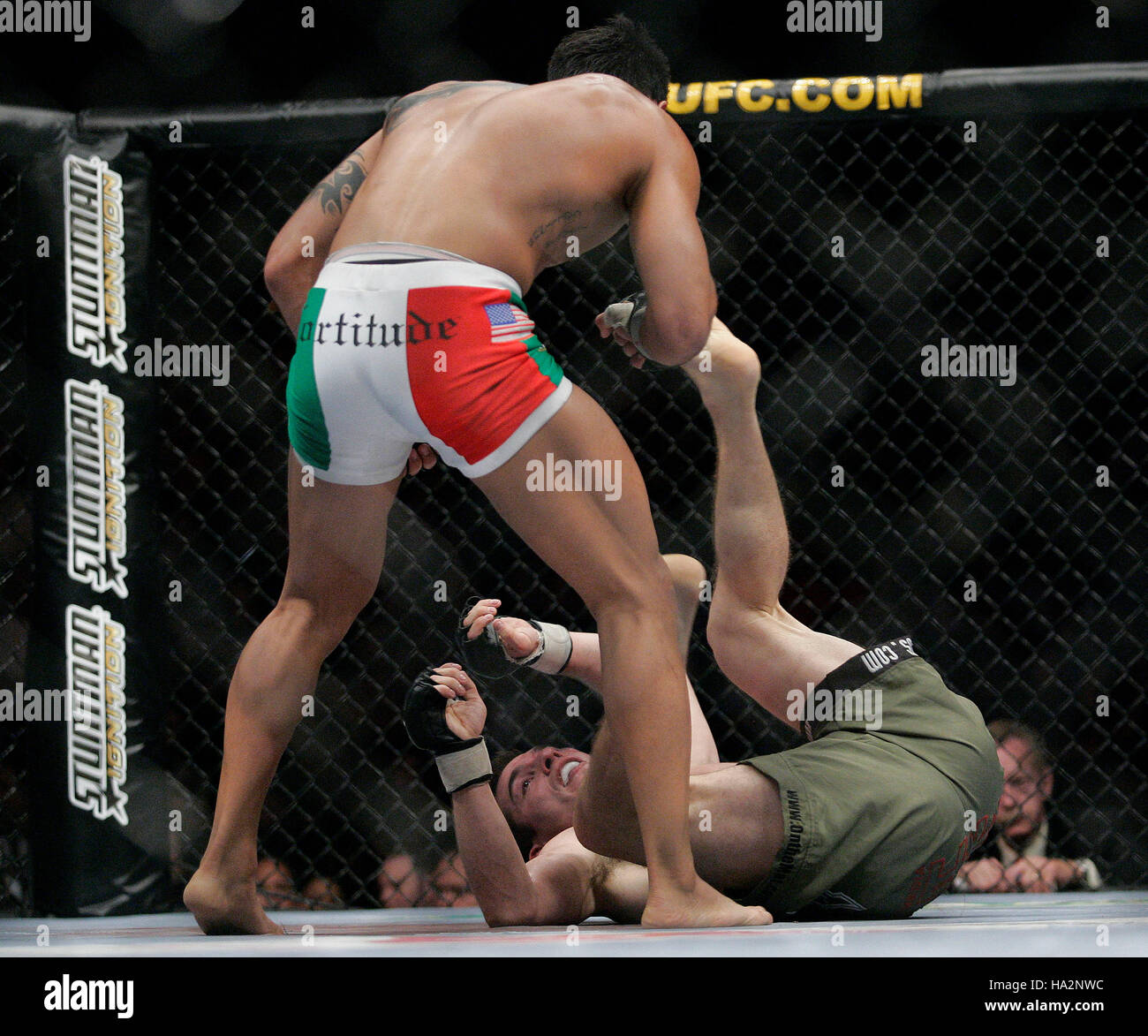 Roger Huerta, top, fight Alberto Crane at UFC 74 during a mixed martial ...