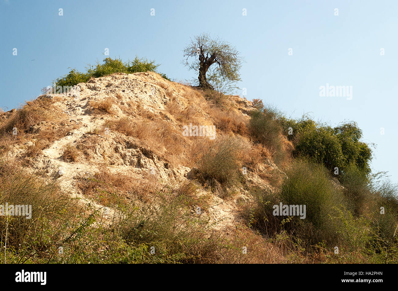 Rajasthan landscape hi-res stock photography and images - Alamy
