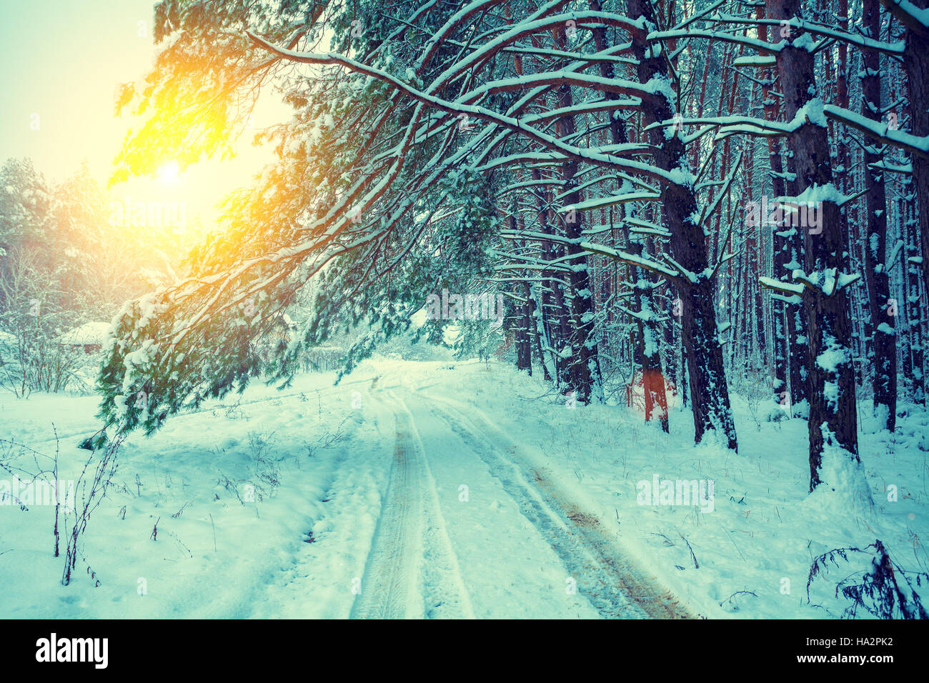 Rural winter landscape Stock Photo - Alamy