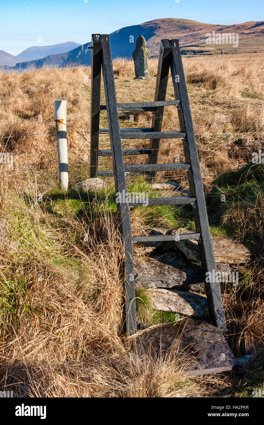 Ladder well hi-res stock photography and images - Alamy