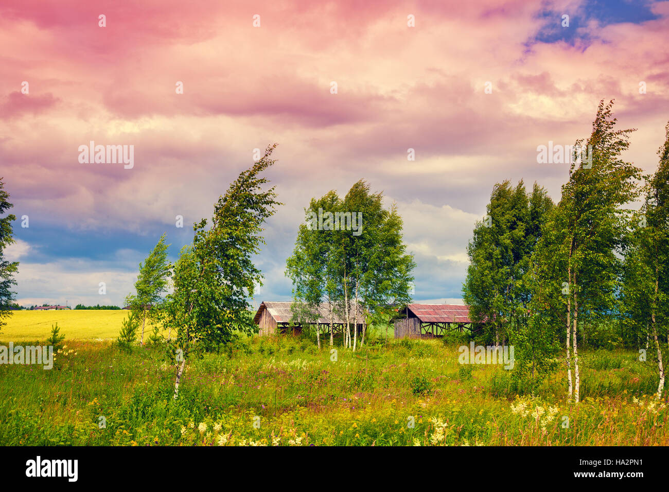 Rural landscape birch barn hi-res stock photography and images - Alamy