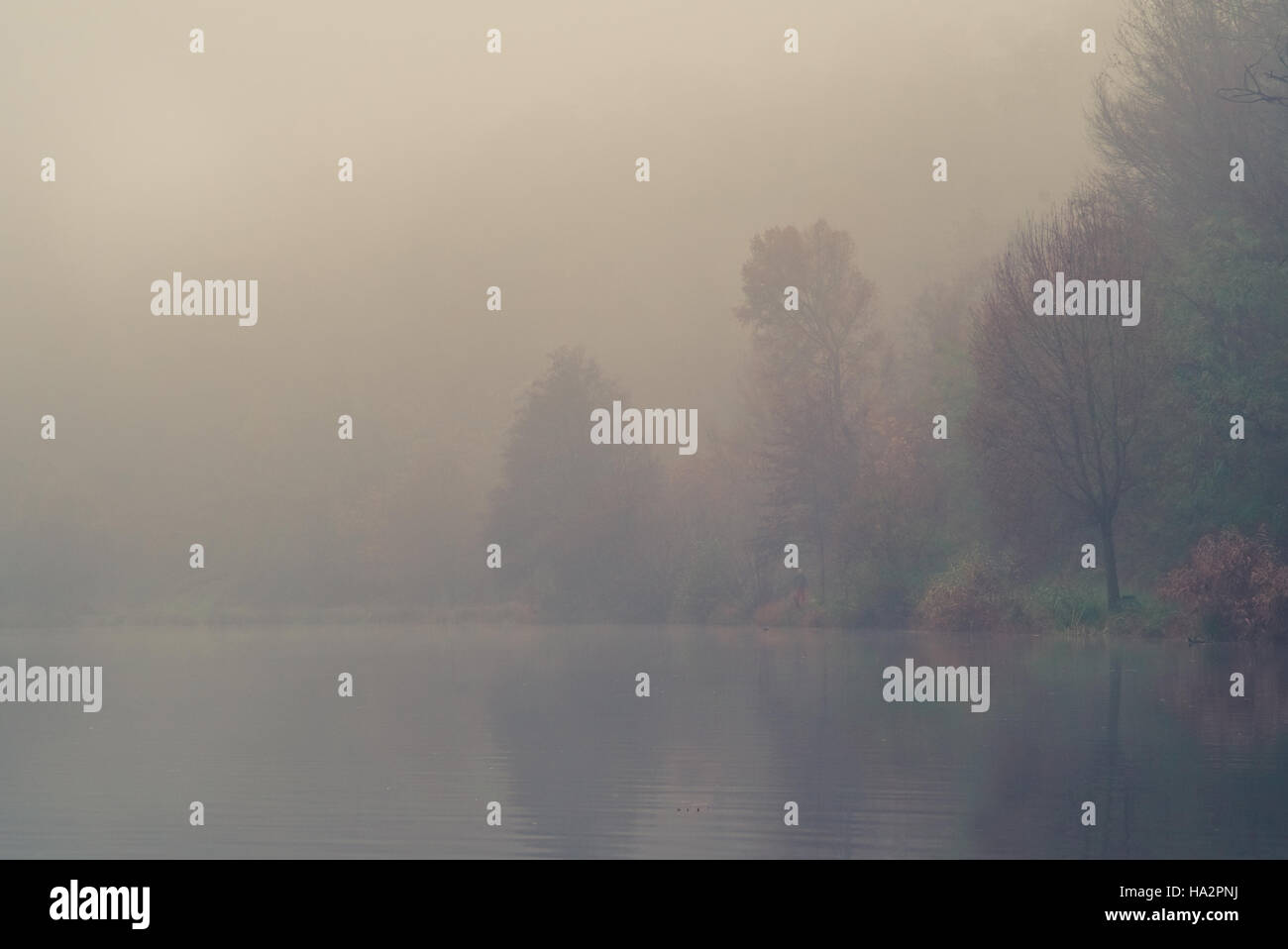 Autumn in brazil hi-res stock photography and images - Alamy