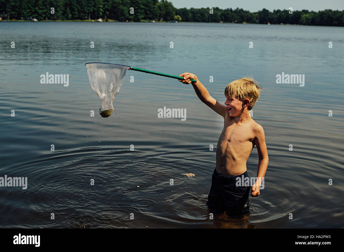 Boy catching a fish with a fishing net Stock Photo - Alamy