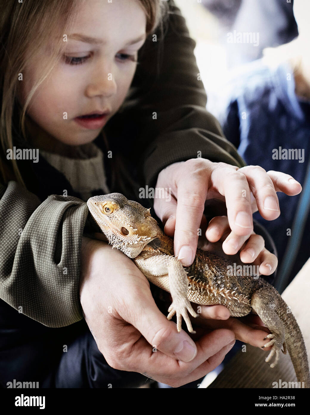Father and son holding lizard Stock Photo - Alamy