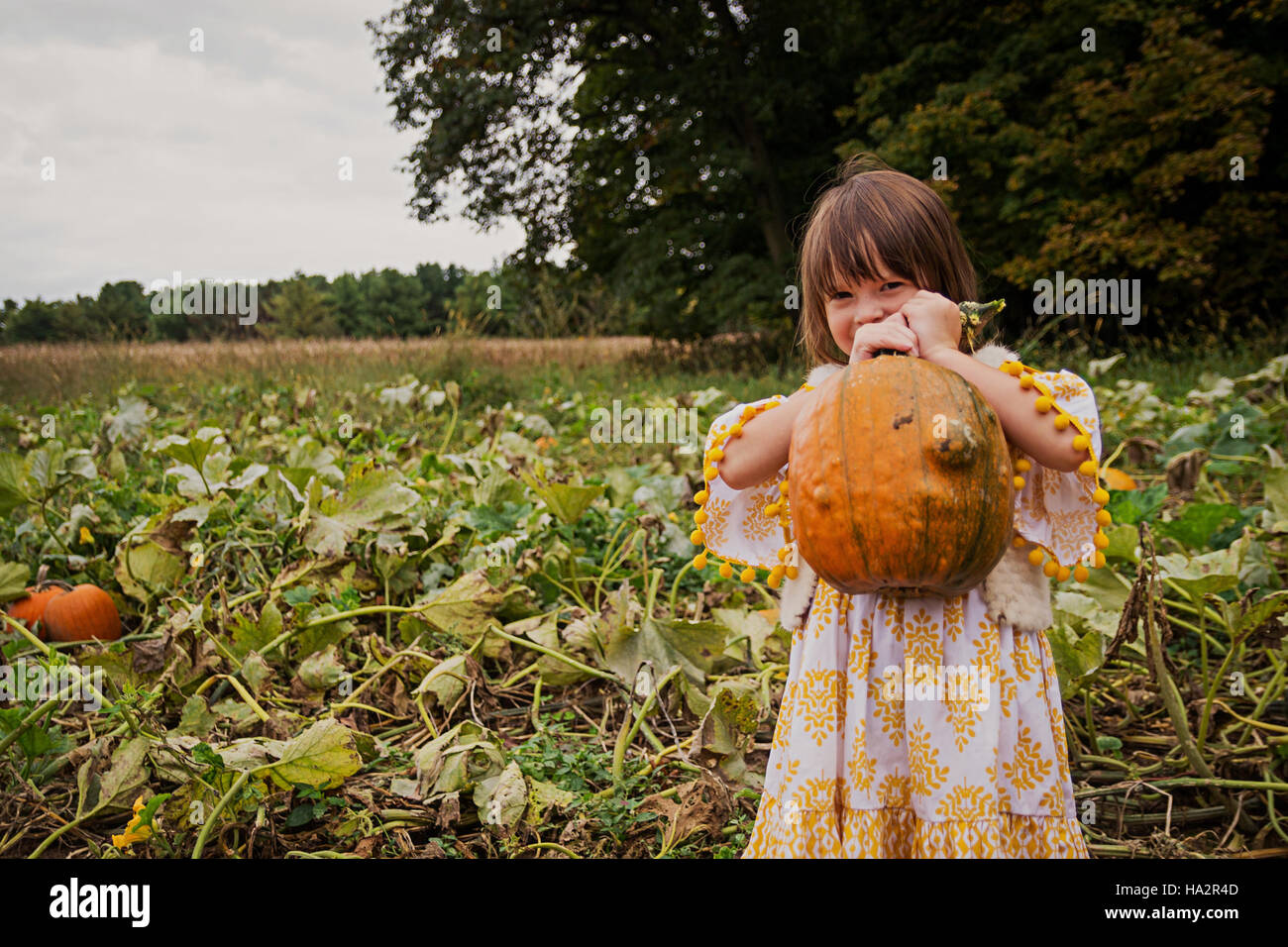 Girl carrying a pumpkin hi-res stock photography and images - Alamy
