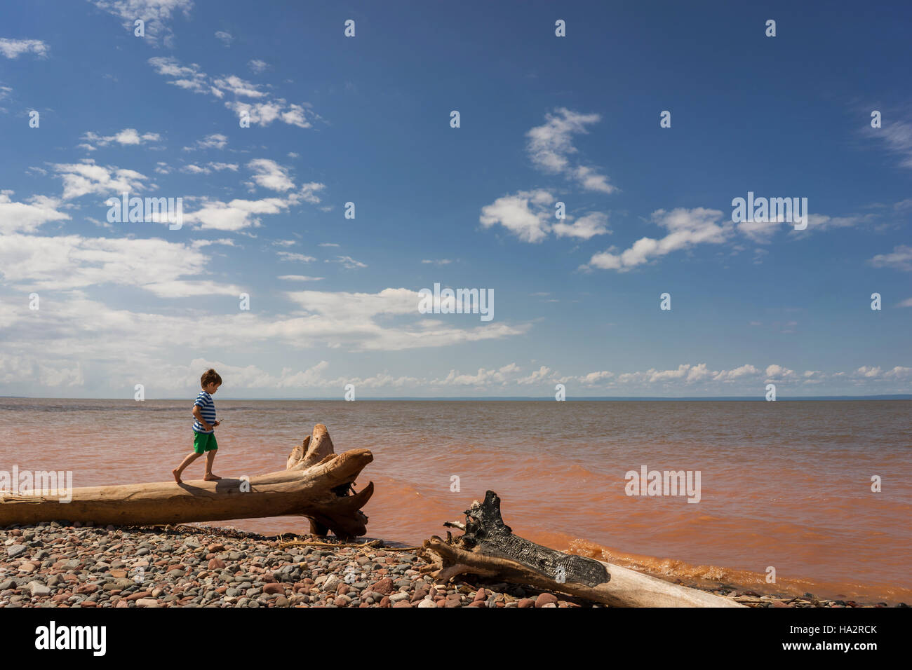 Trunk on the beach hi-res stock photography and images - Alamy