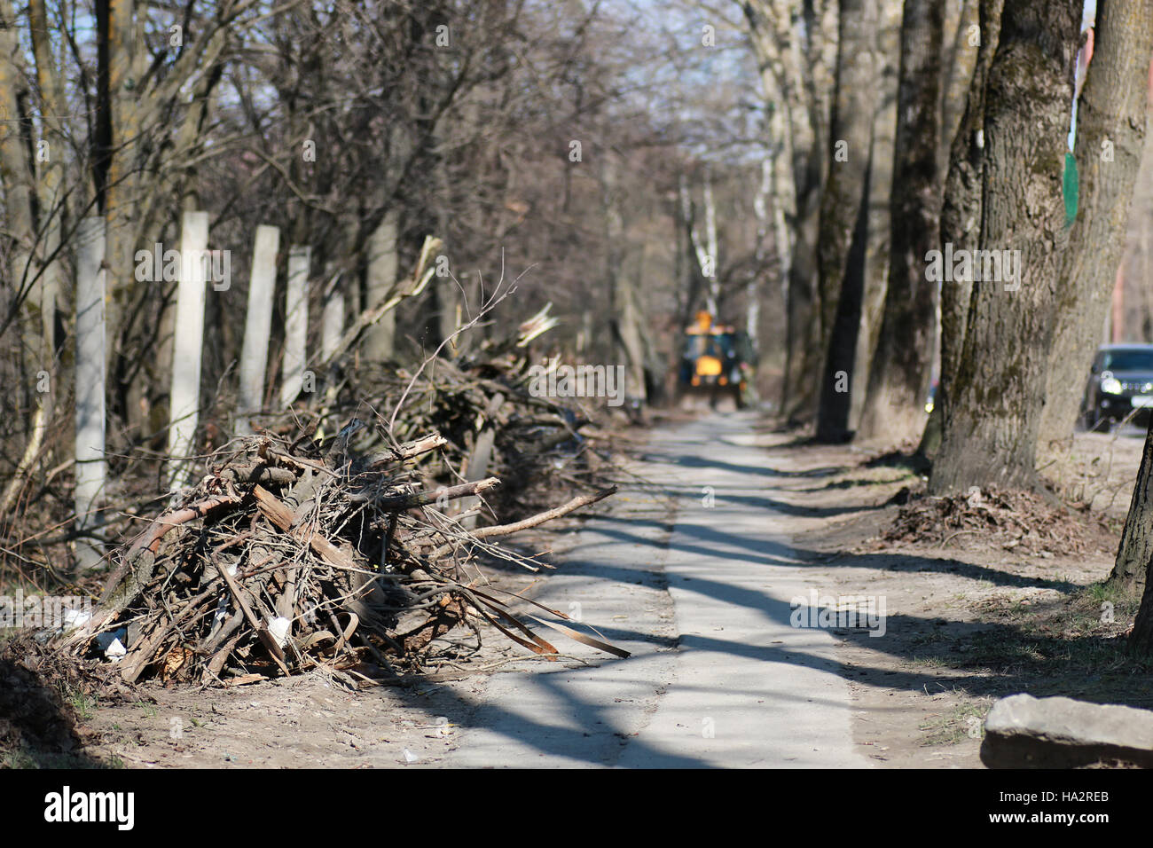 branch trash in the park Stock Photo - Alamy