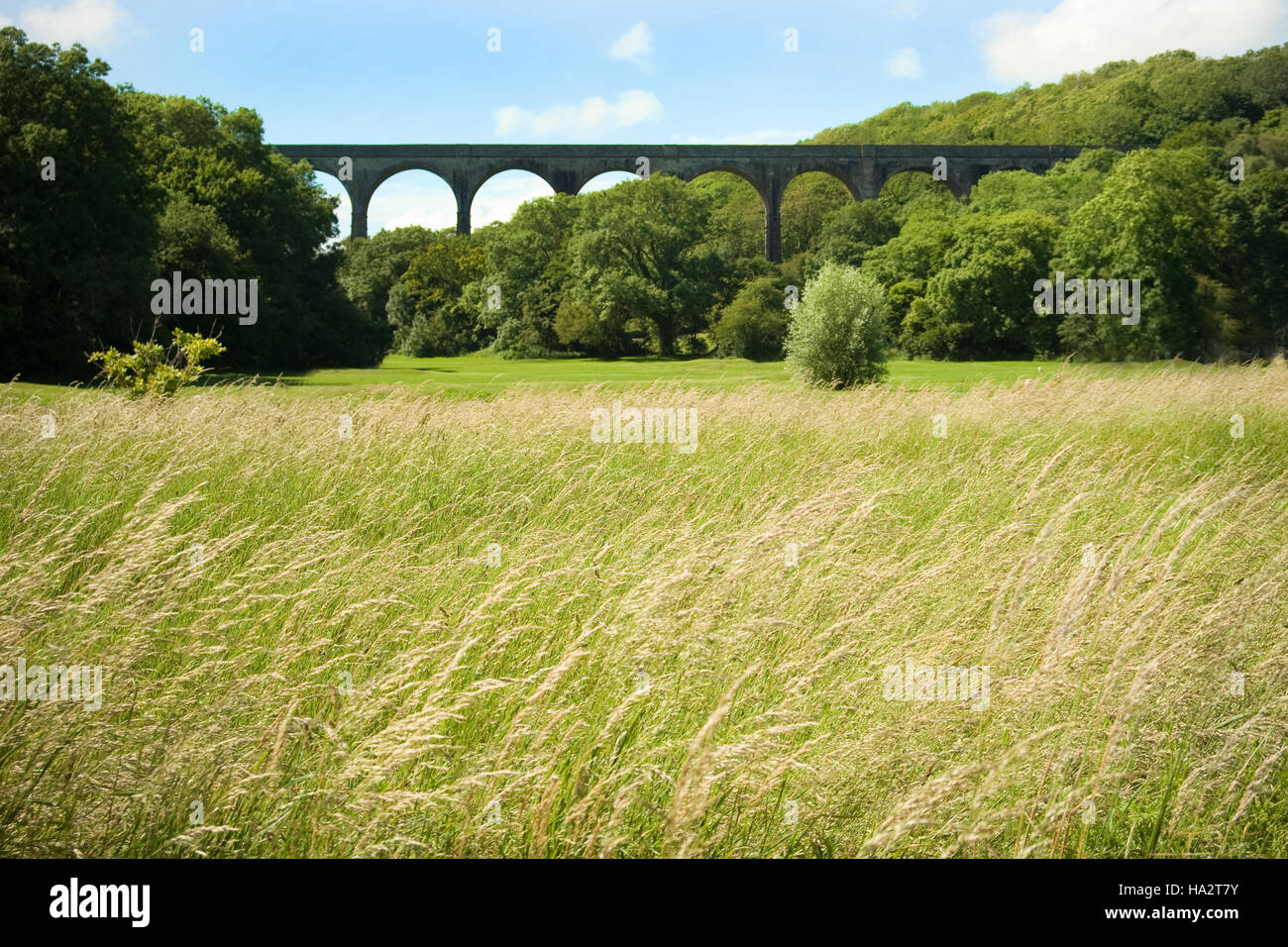 The Viaduct at Porthkerry Park, Barry, Wales UK Stock Photo - Alamy