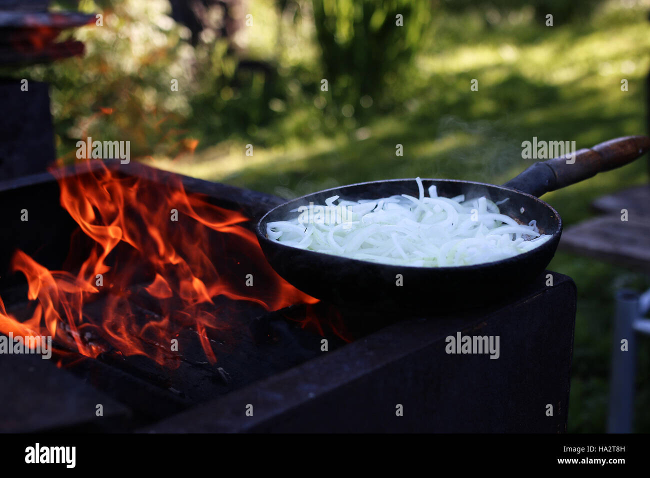 onion fry on fire outdoors Stock Photo - Alamy