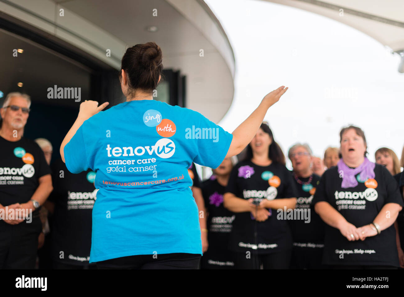 Tenovus cancer care: Rear view of a woman conducting a choir of ...