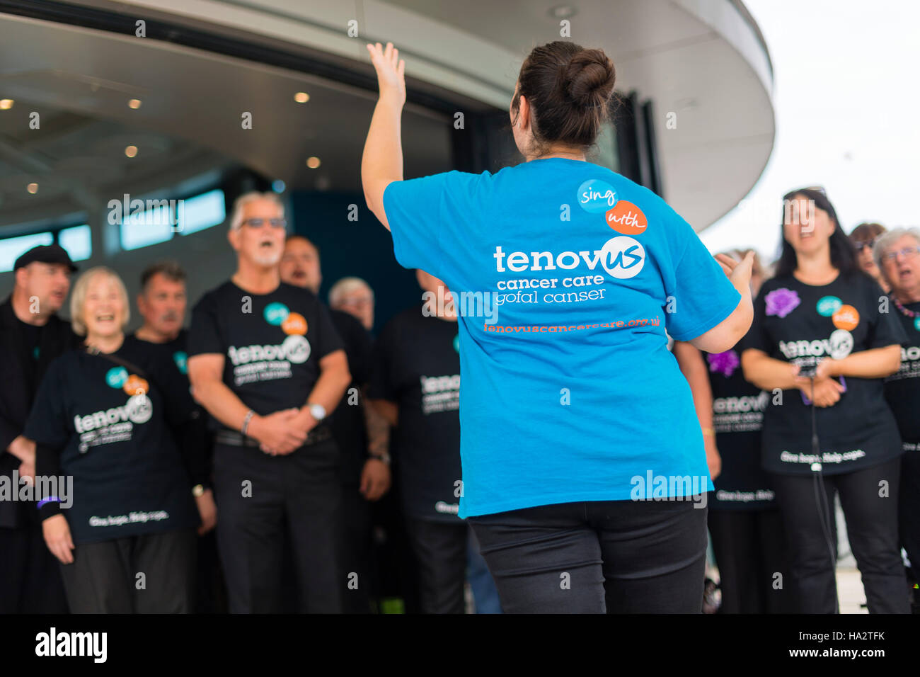 Tenovus cancer care: Rear view of a woman conducting a choir of ...