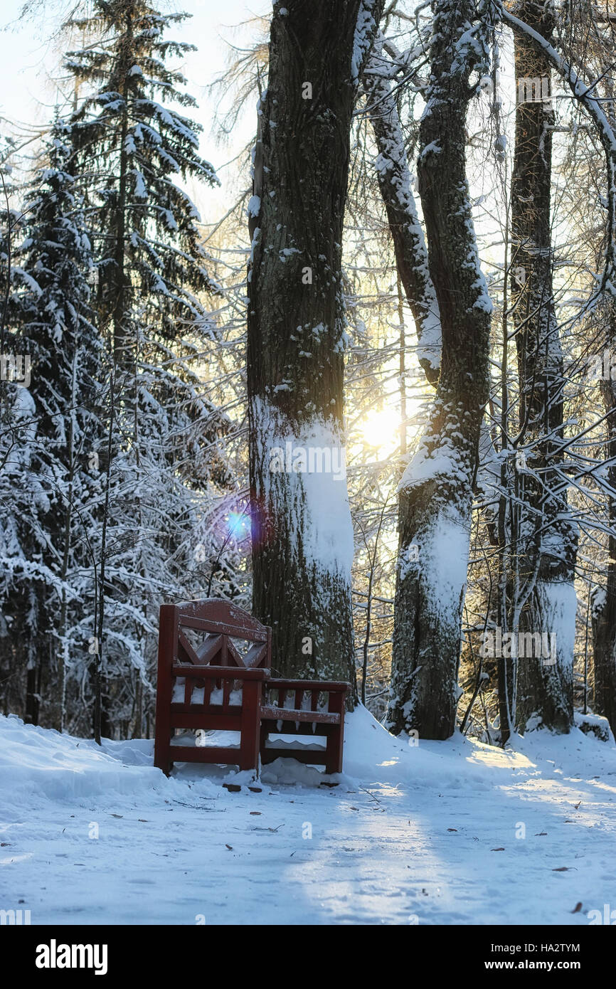 wood bench in winter Stock Photo - Alamy