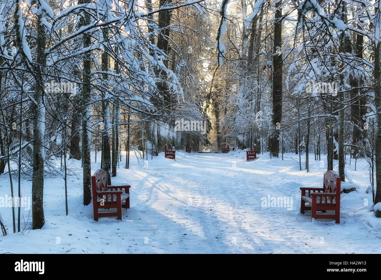 wood bench in winter Stock Photo - Alamy