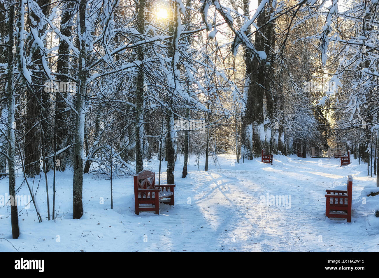 wood bench in winter Stock Photo - Alamy