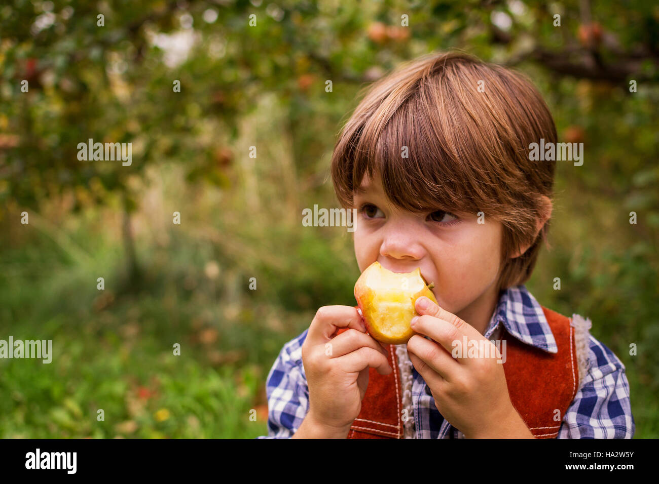 Child eating an apple hi-res stock photography and images - Alamy