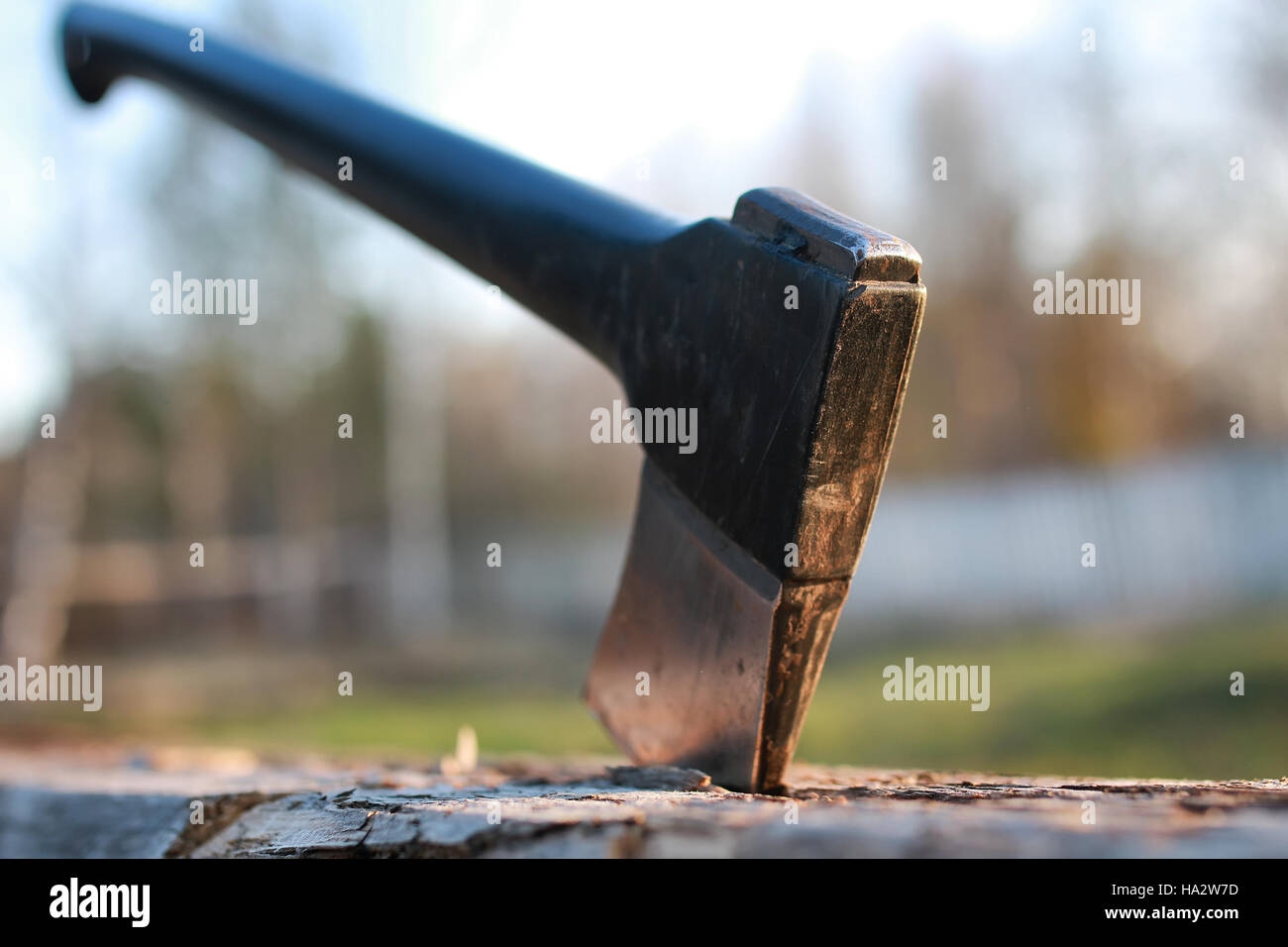 axe in wood outdoor Stock Photo - Alamy