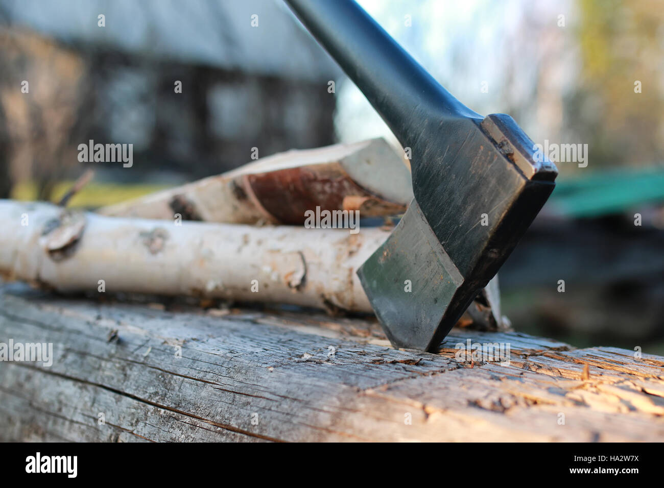 axe in wood outdoor Stock Photo - Alamy