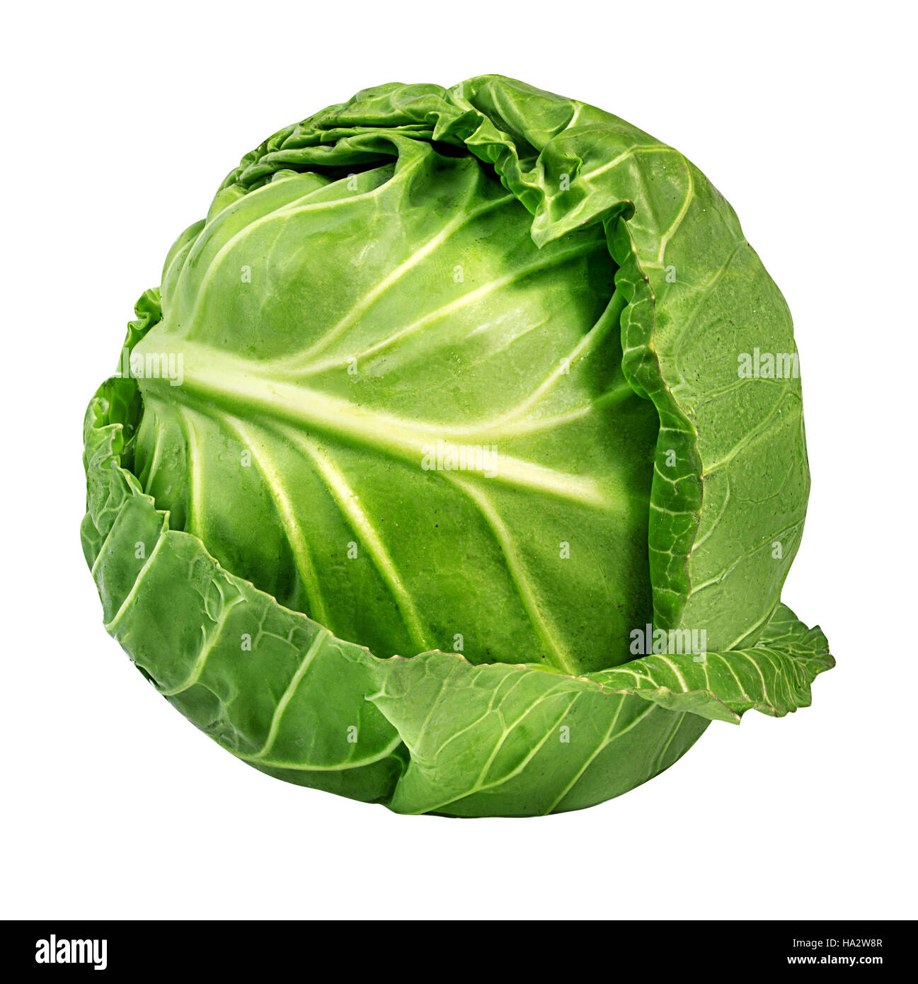 Fresh green cabbage ripe Cut Out Stock Images & Pictures - Alamy