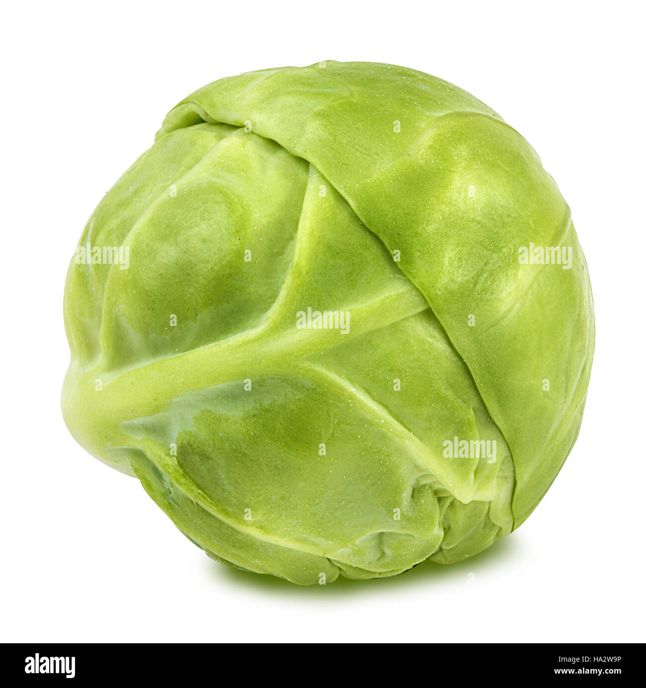 Brussels sprouts isolated on white background Stock Photo - Alamy