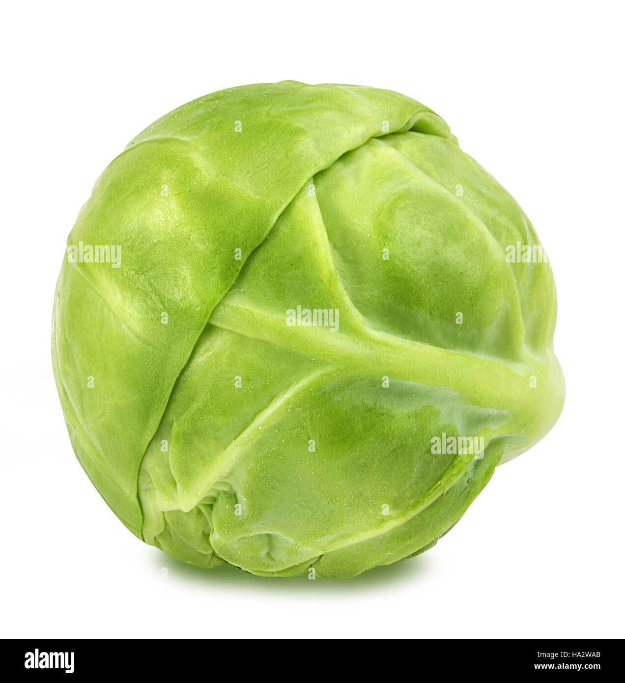 Brussels sprouts isolated on white background Stock Photo - Alamy
