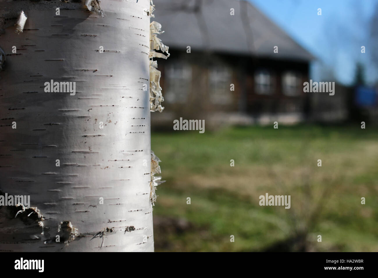 wood texture outdoor Stock Photo - Alamy