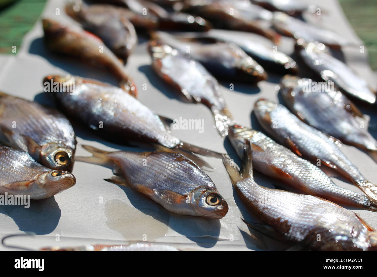 small fish on table Stock Photo - Alamy