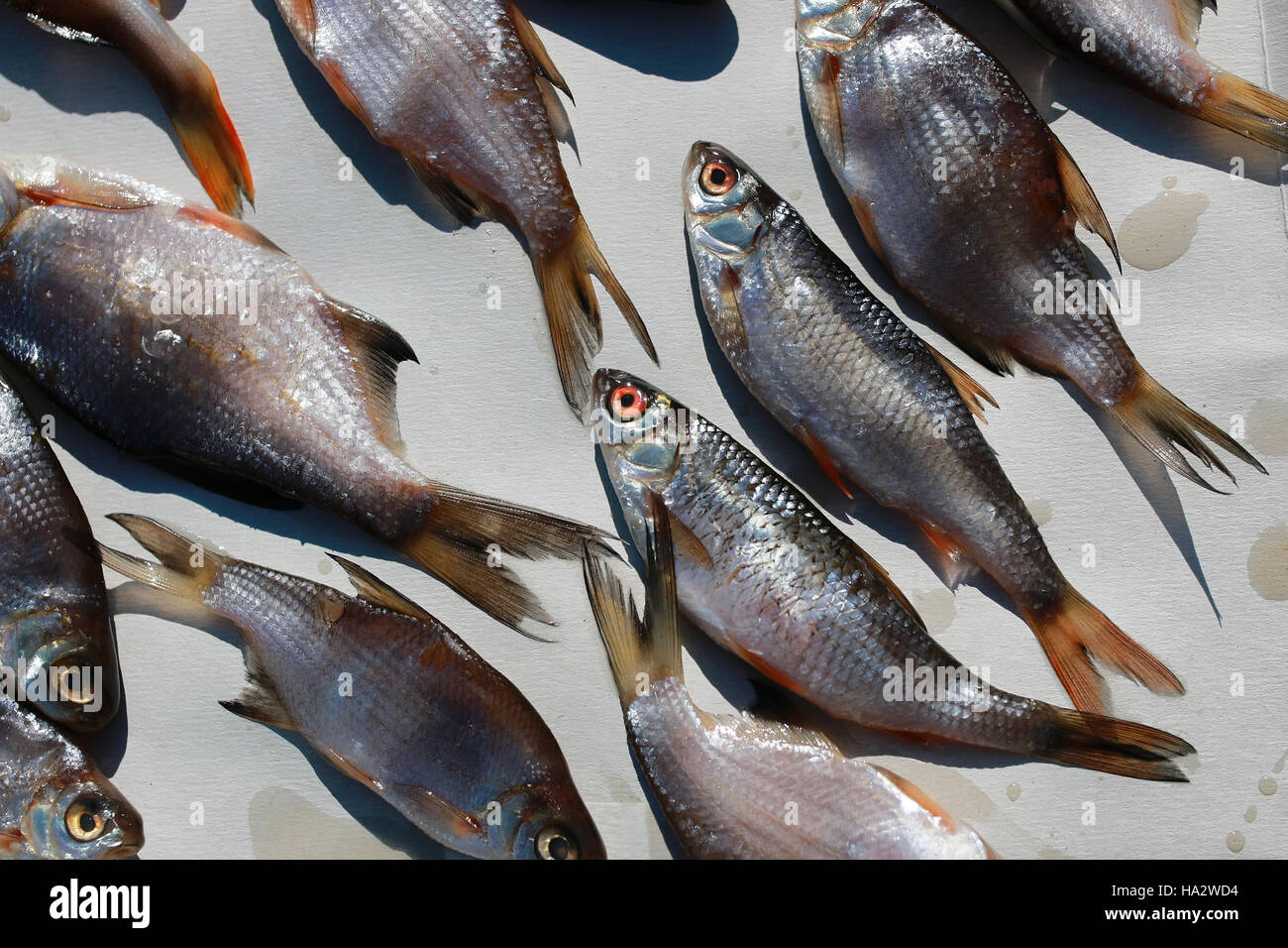 small fish on table Stock Photo - Alamy