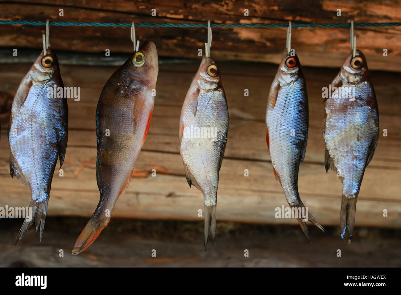 fish drying on rope Stock Photo - Alamy