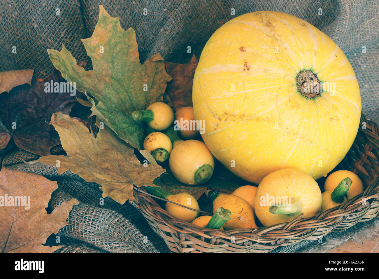 Pumpkin macro harvest Stock Photo - Alamy