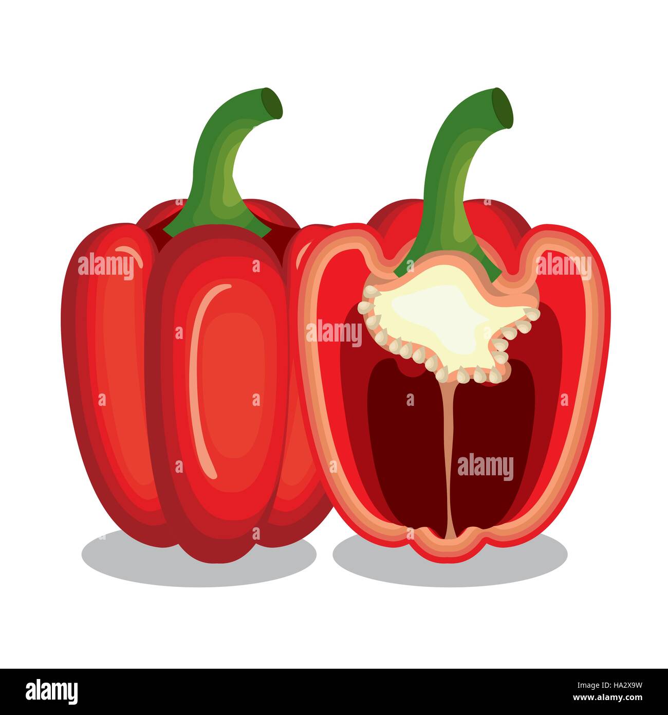 Paprica vector vectors Stock Vector Images - Alamy