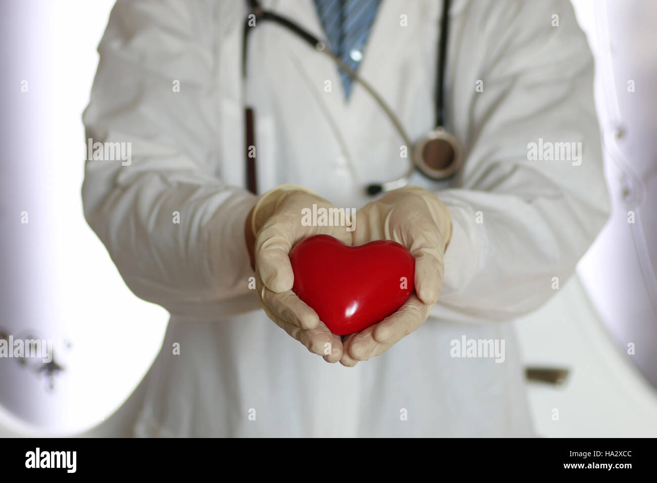 heart in doctor hand Stock Photo - Alamy