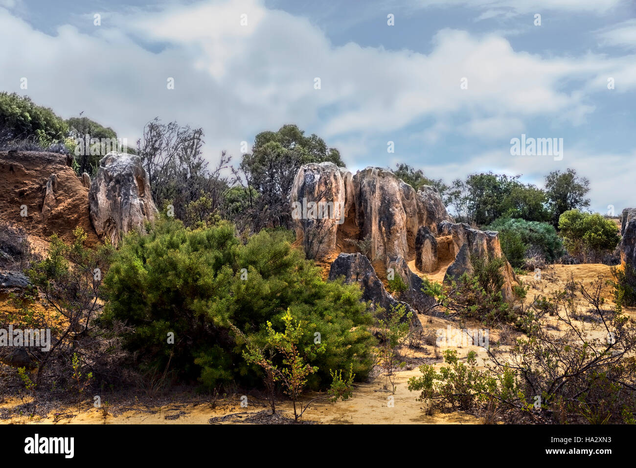 Rural landscape, Perth, Western Australia, Australia Stock Photo - Alamy