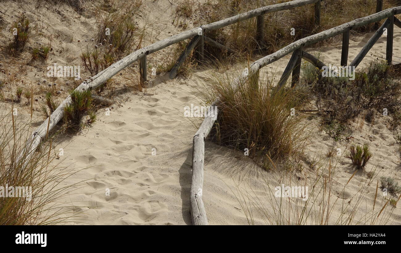 Sand Dunes And Pathway Stock Photo - Alamy