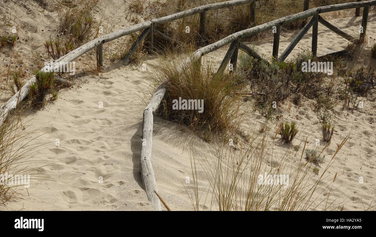 Pathway Covered By Sand Dunes Stock Photo - Alamy