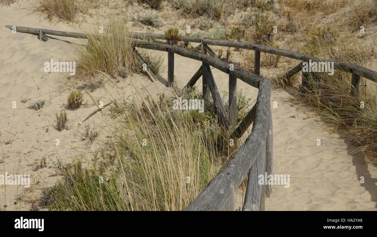 Sand In Western Desert Stock Photo - Alamy