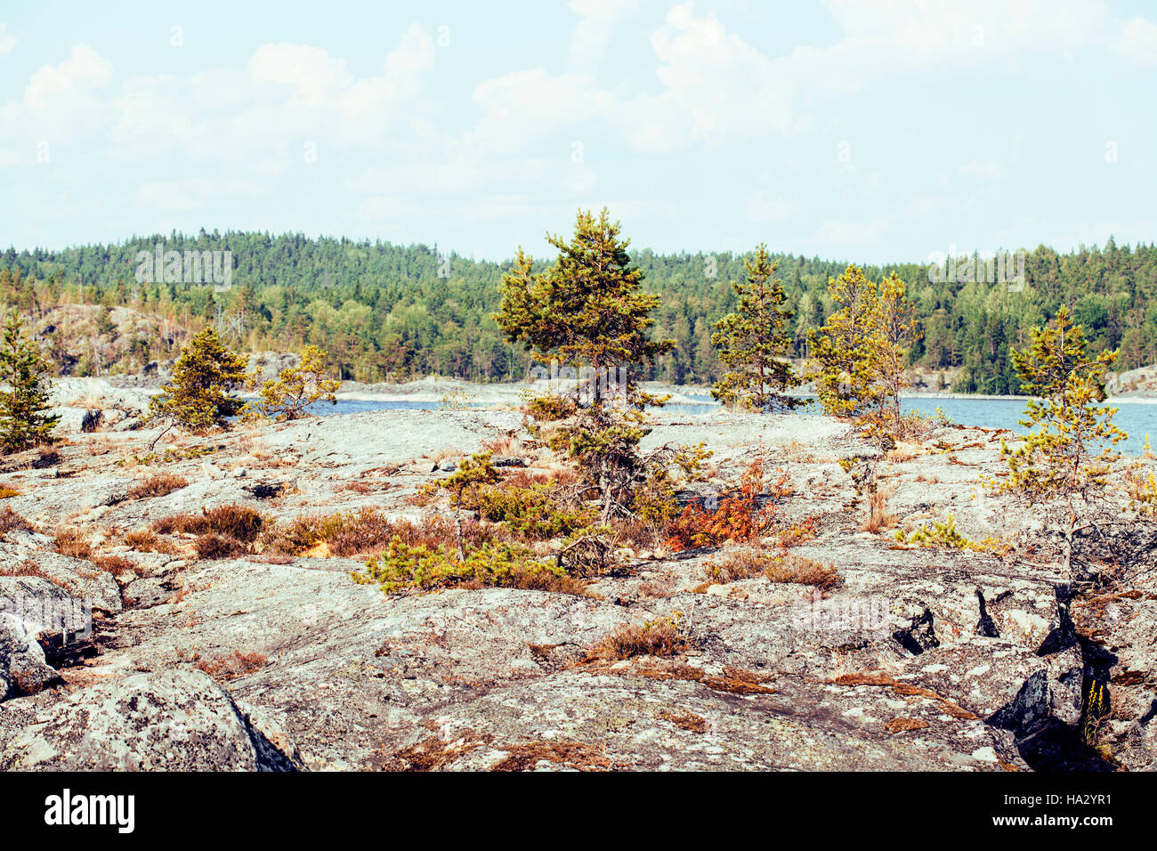 wild north nature landscape. lot of rocks on lake shore Stock Photo - Alamy