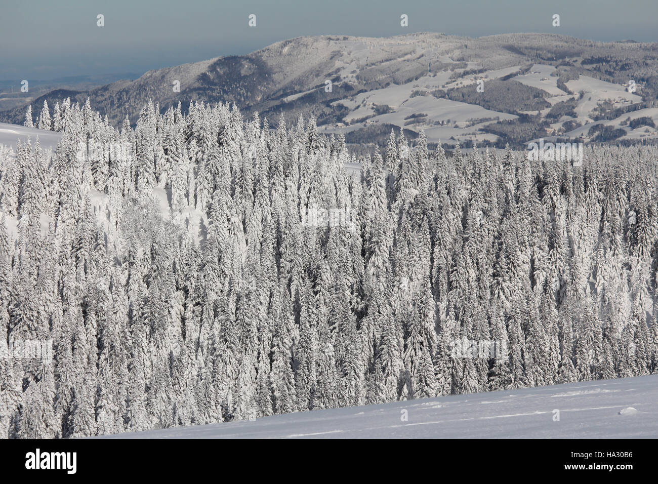 Feldberg, Germany - January 18, 2016: View from the Feldberg, the ...