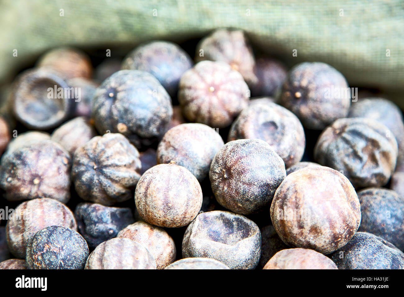 in iran blur typical dry lemon in abstract pattern background flavor ...