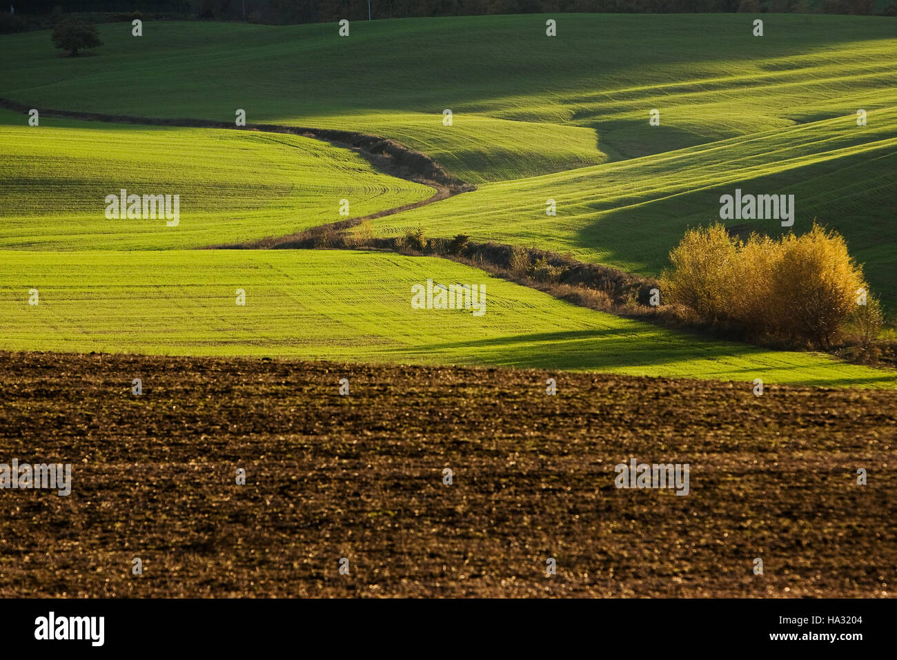 Soratte mount hi-res stock photography and images - Alamy